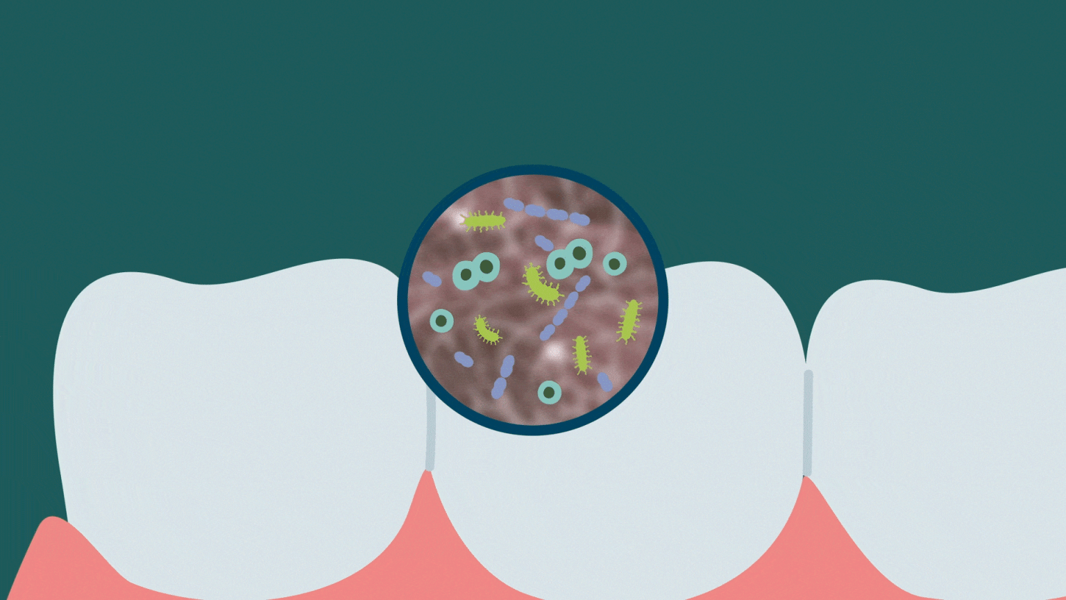 A Guide to Restorative Dentistry - Williams Square Dental